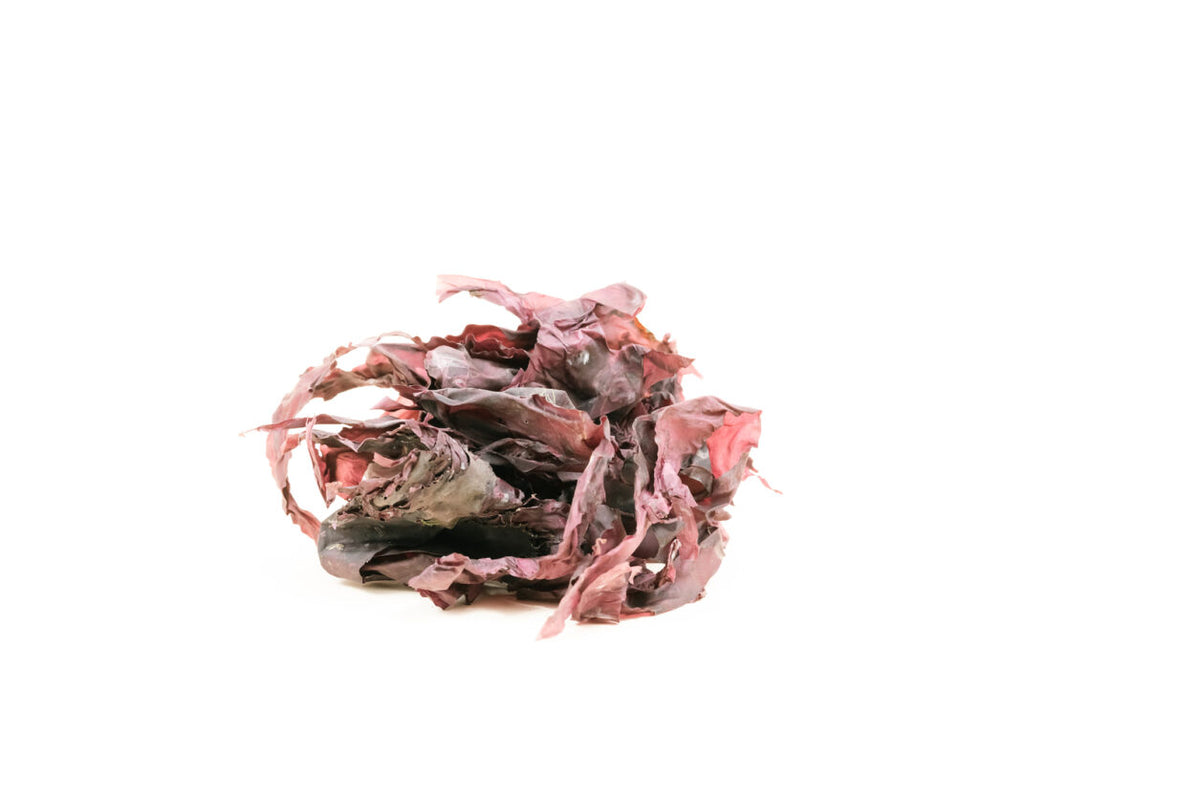 What is Dulse? – aquaveggies